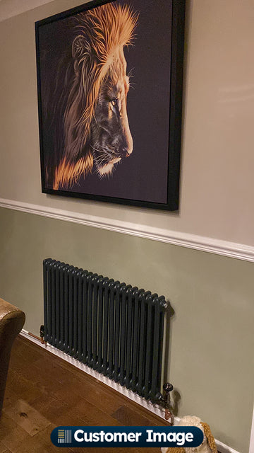 Anthracite Column Radiator H600mm x W988mm 2 Column - Alpha | UK Radiators