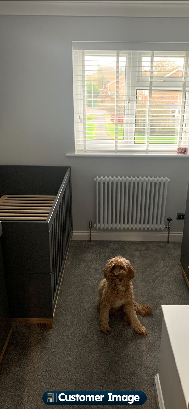 White Column Radiator H600mm x W768mm 2 Column - Alpha | UK Radiators